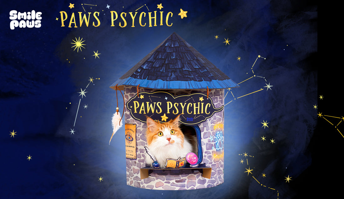 Halloween Psychic House – Smile Paws