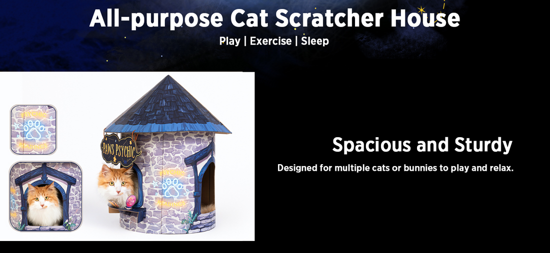 Halloween Psychic House – Smile Paws