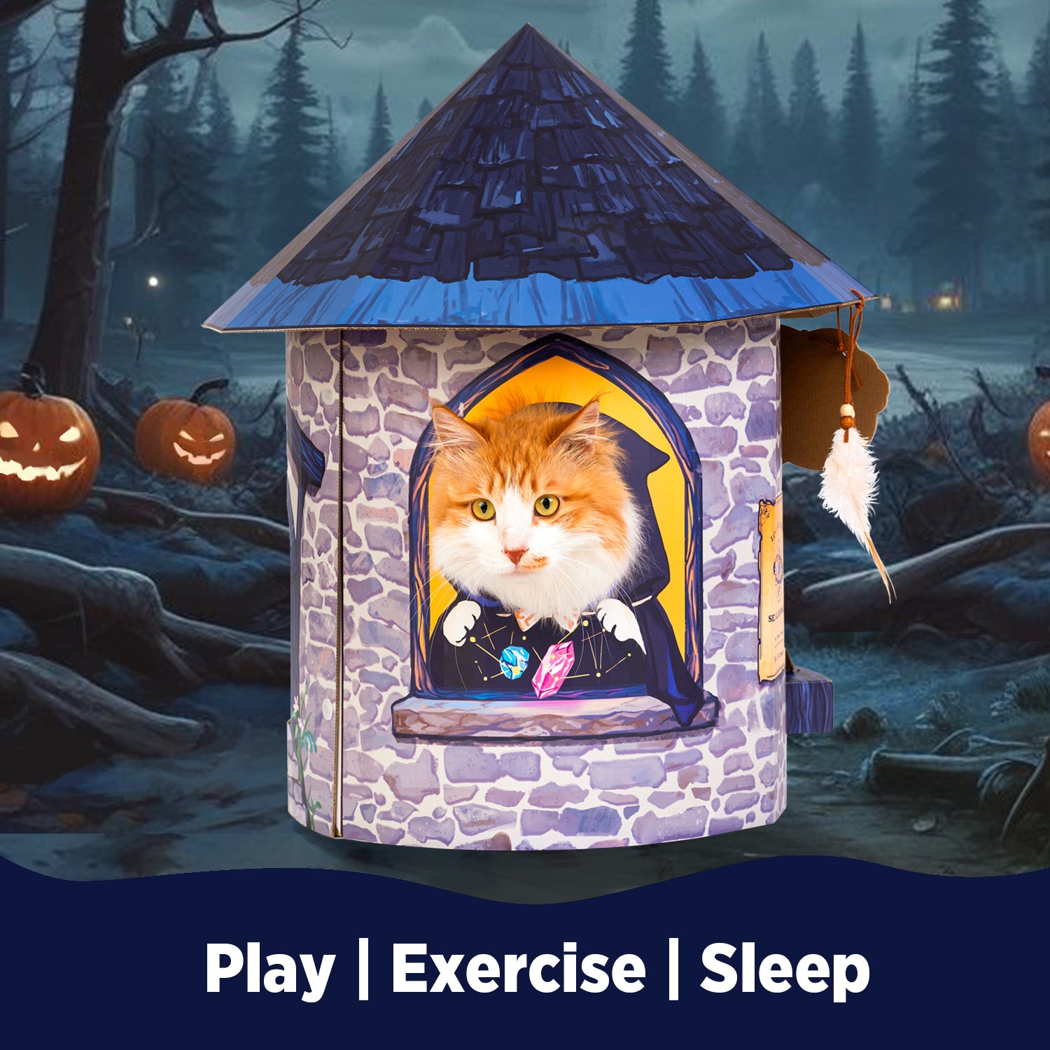 Halloween Psychic House – Smile Paws