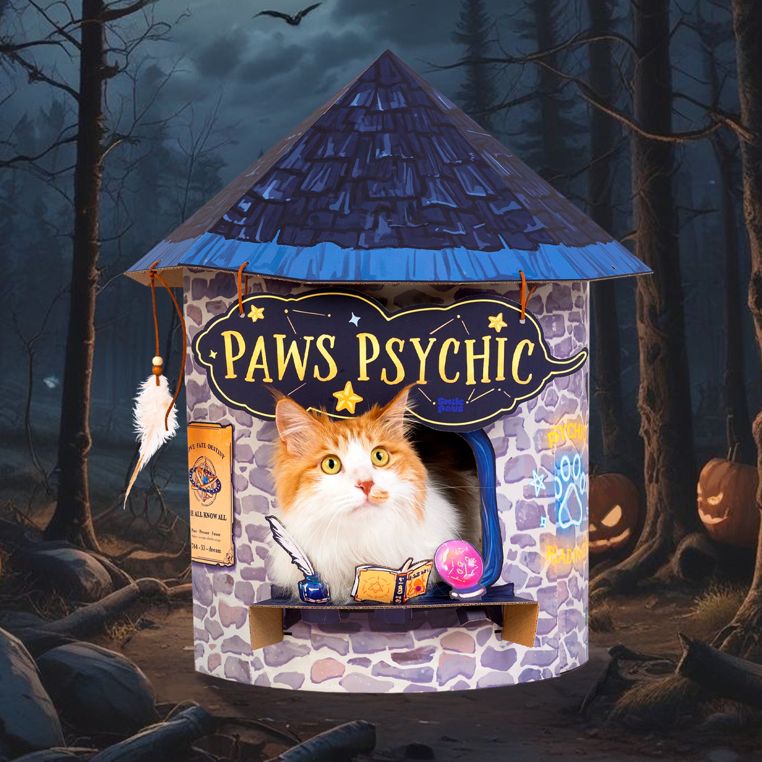 Halloween Psychic House – Smile Paws