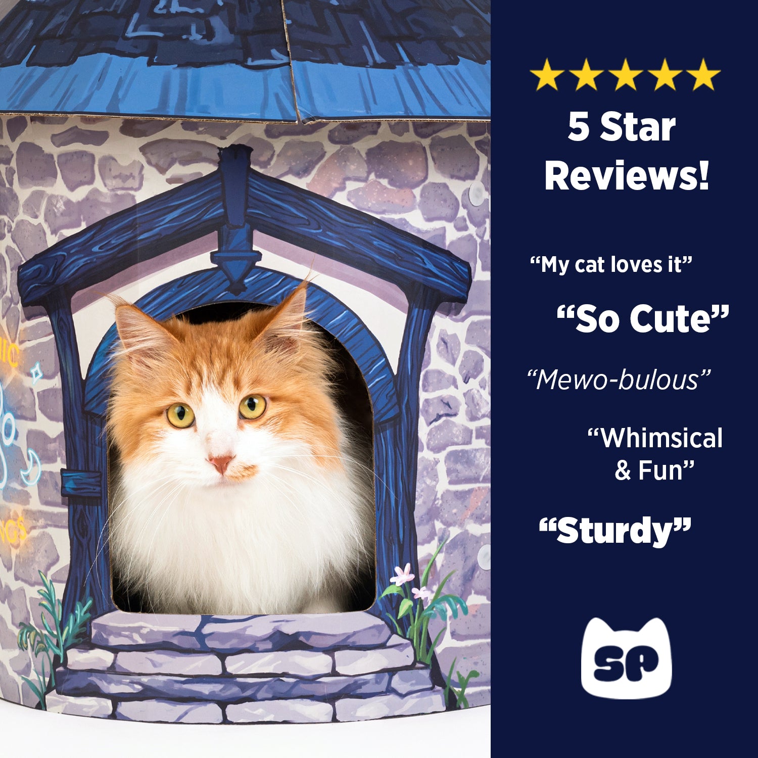 Halloween Psychic House – Smile Paws